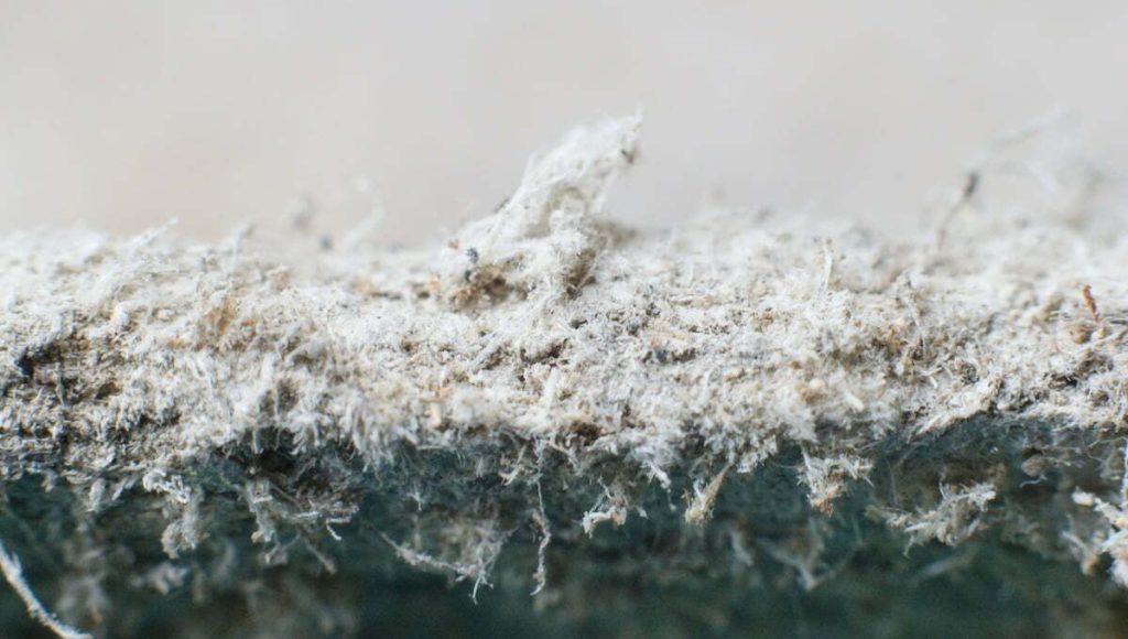4 asbestos facts every facilities manager should know - Environtec