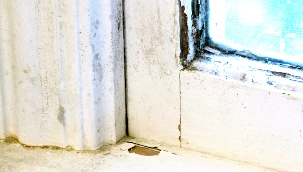 A closer look at our lead paint surveys and lead services - Environtec